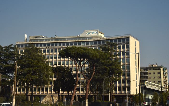 Acea: Fabrizio Palermo confermato AD, Barbara Marinali nominata ...